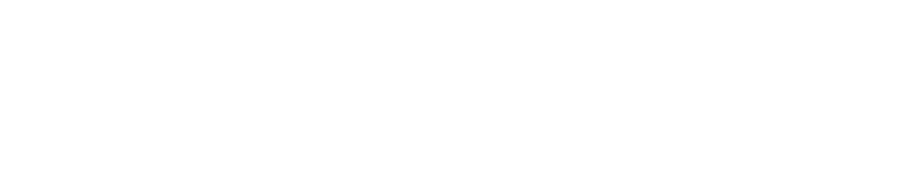 Auditing Work in Progress