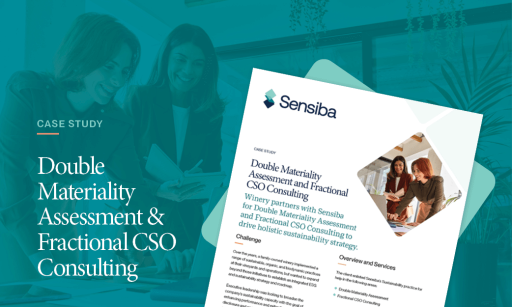 Double Materiality Assessment - Sensiba